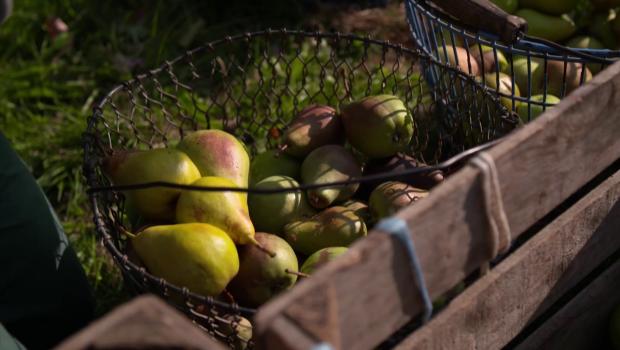 Zu Tisch - Lesen Sie mehr - Entdeckung der Welt | ARTE